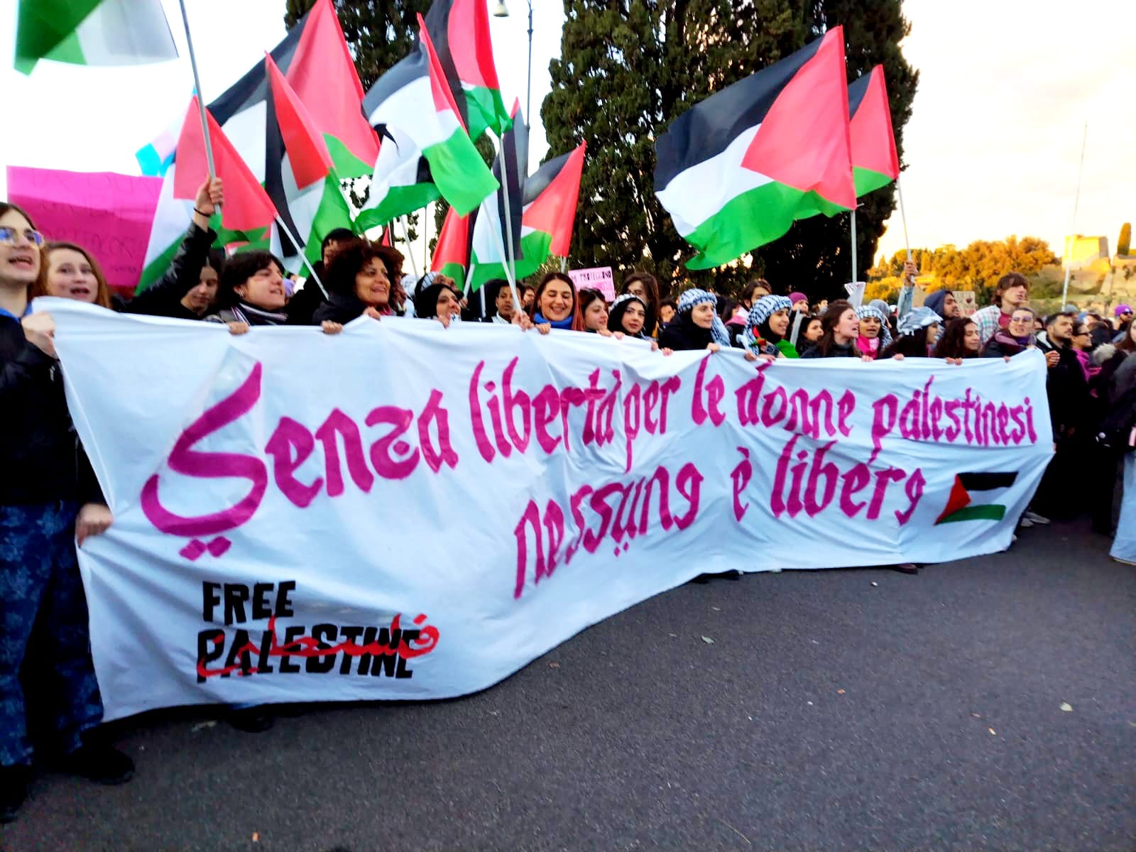Non Una Di Meno. Solidarietà a Maya Issa, donna palestinese - Contropiano